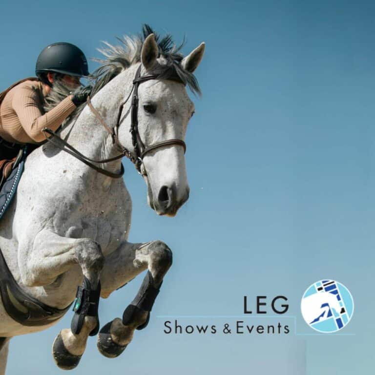 Colorado Leg Shows - StrideFull